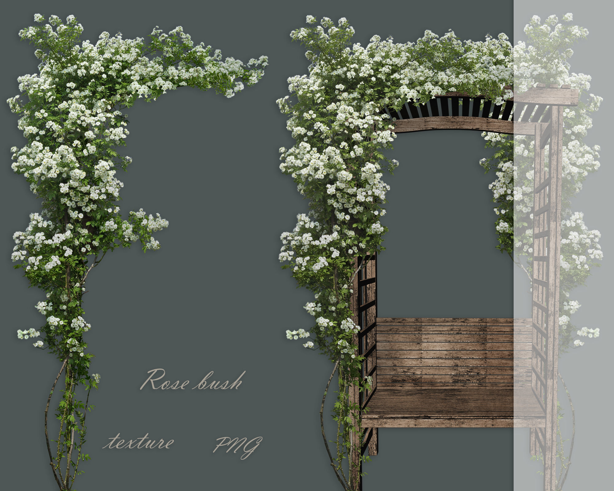 Texture A set of textures of rose bushes PNG VR / AR / low-poly | CGTrader