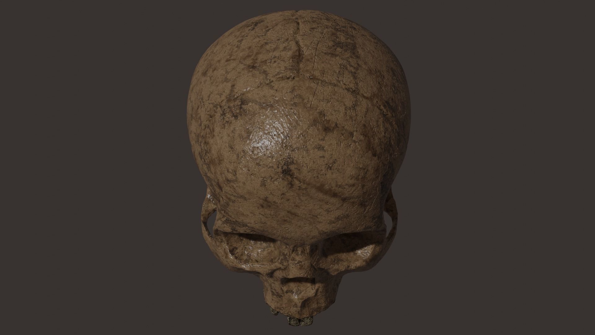Scull free 3D model | CGTrader