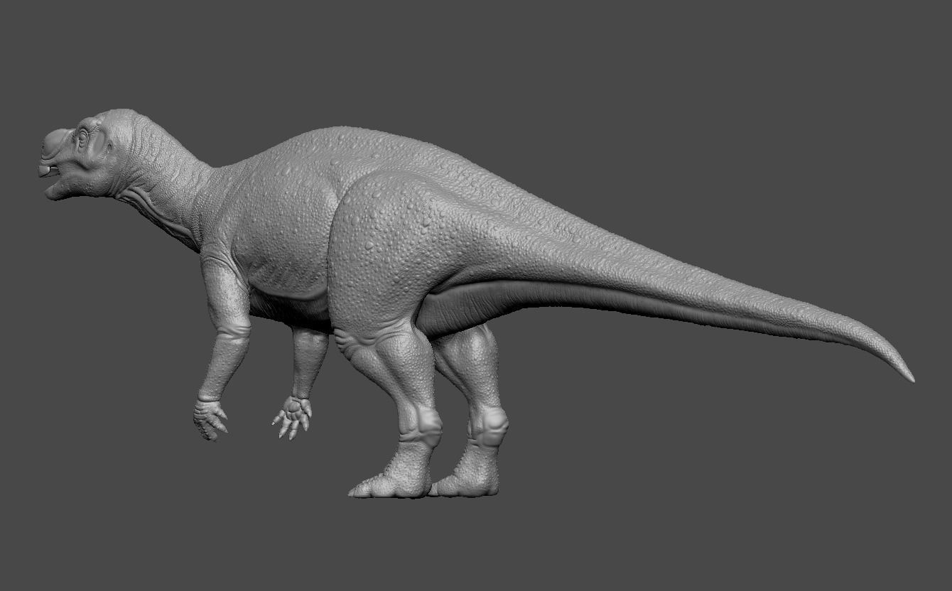 Muttaburrasaurus Dinosaur 3D model | CGTrader