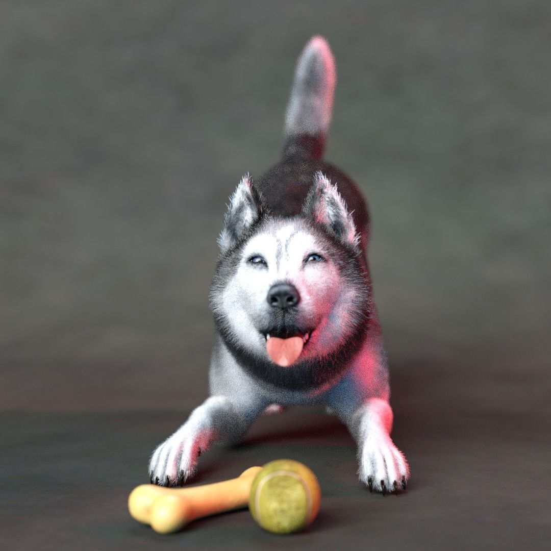 3D model Photo realistic looking Dog VR / AR / low-poly | CGTrader