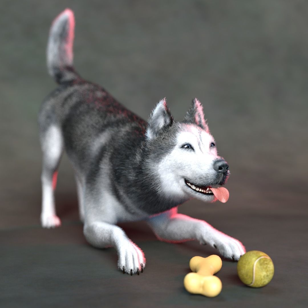 3D model Photo realistic looking Dog VR / AR / low-poly | CGTrader