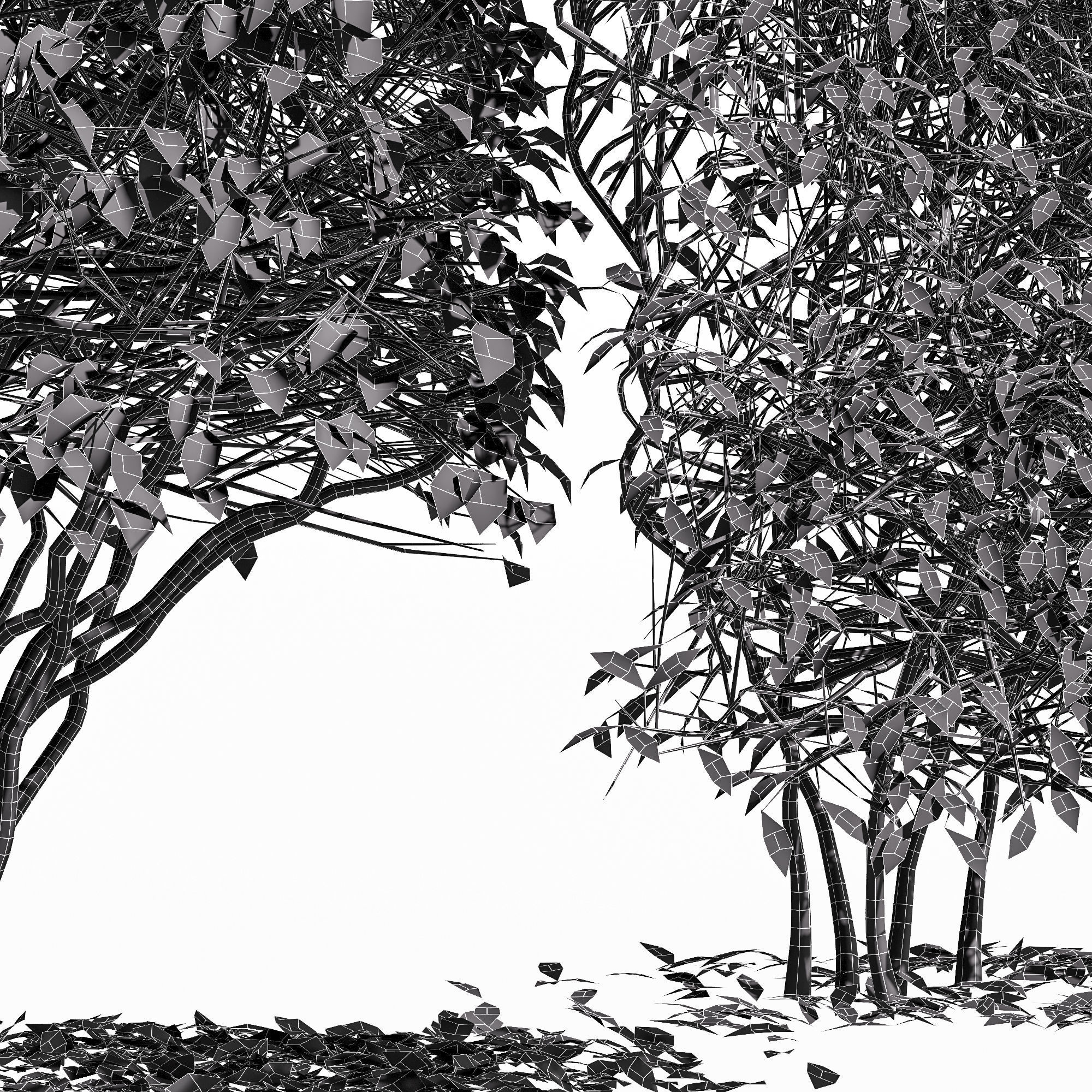 4diffrent bush Dwarf Yaupon Holly Box Spherical Cone Winter free 3D ...