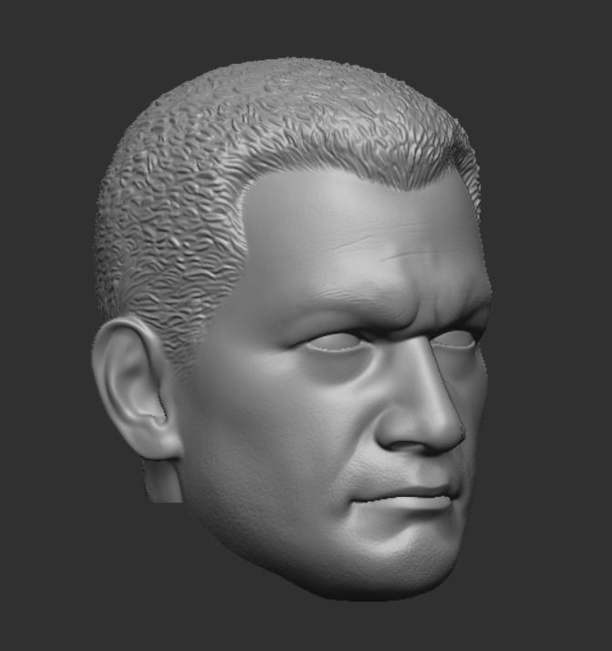 Hot Toys style Commander Cody head 3D model 3D printable | CGTrader