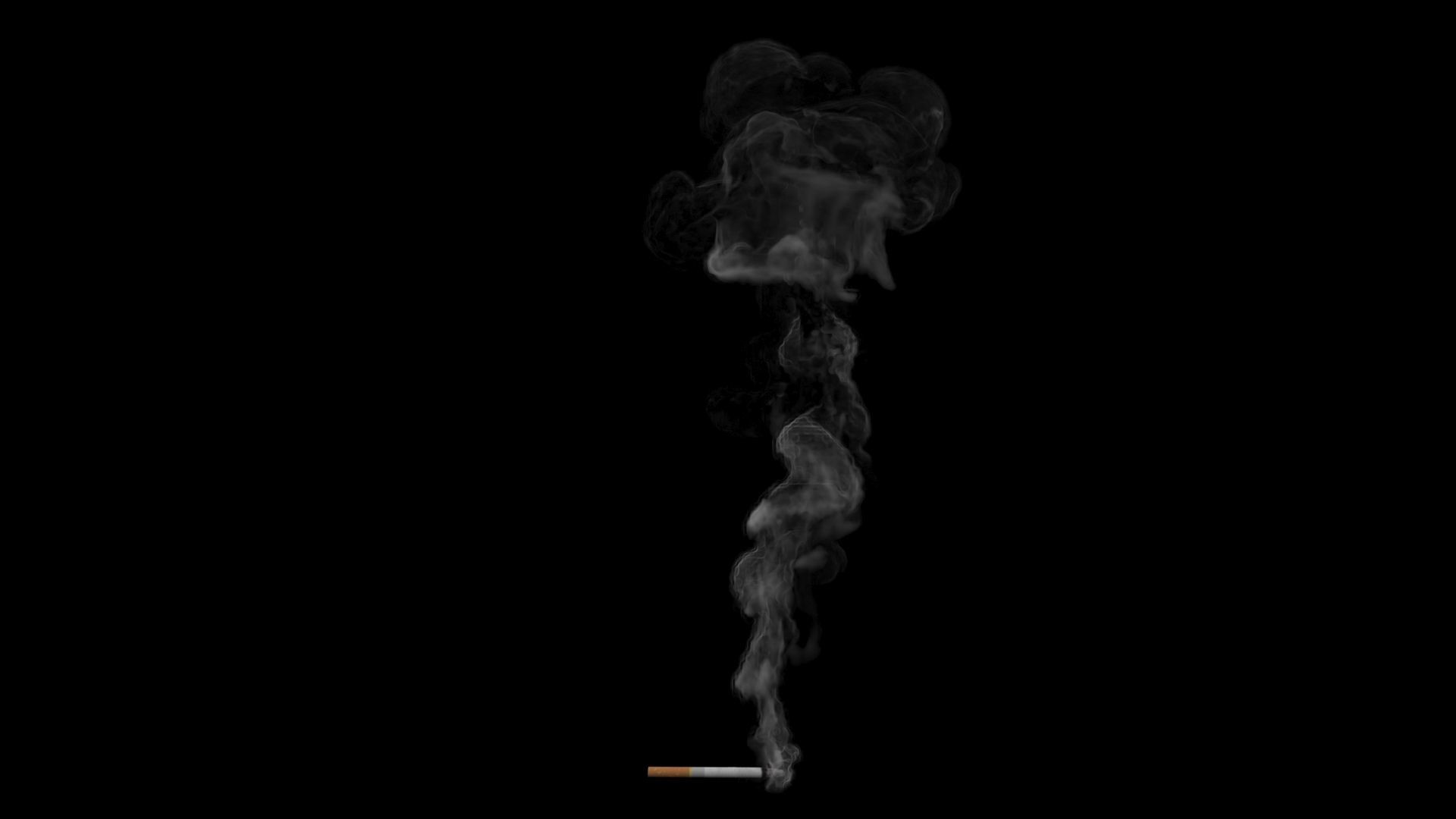 Cigarette and smoke fog 3D model | CGTrader