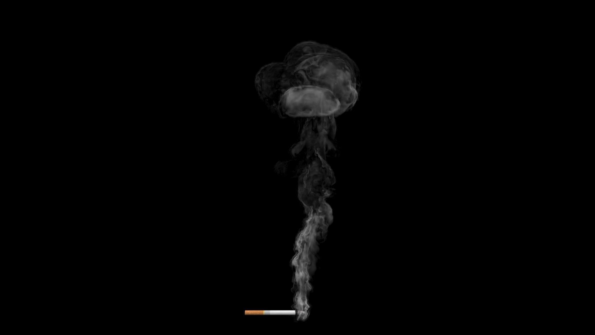 Cigarette and smoke fog 3D model | CGTrader