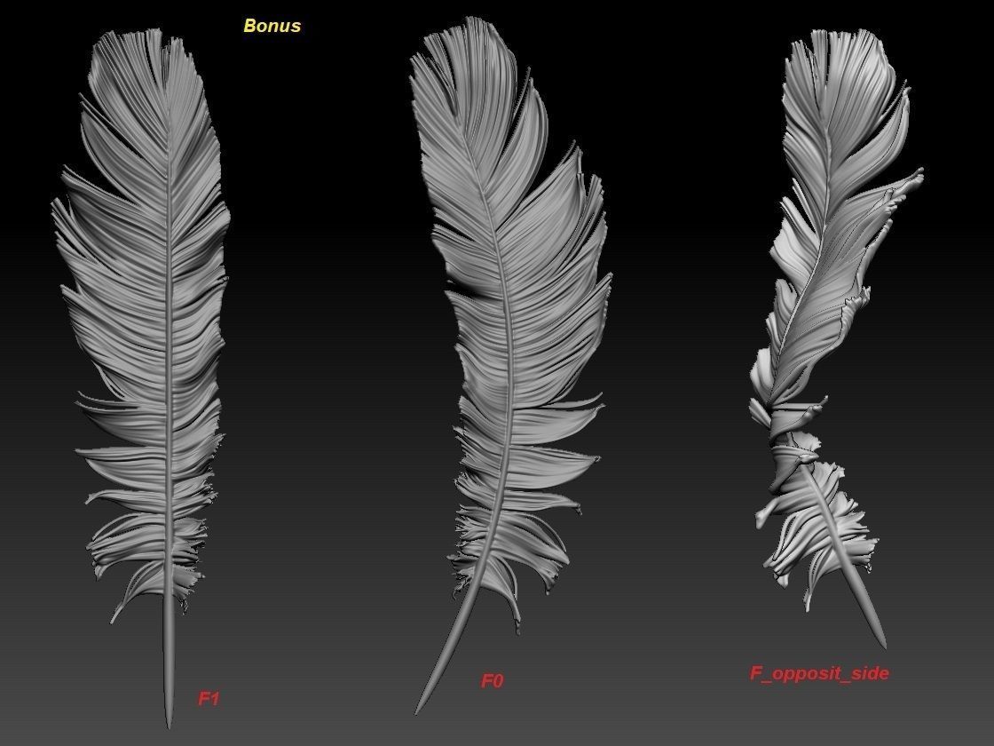 Feather V1 3D model 3D printable | CGTrader