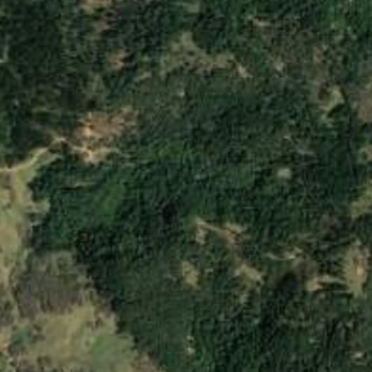 Seamless Aerial Terrain Texture Texture | CGTrader