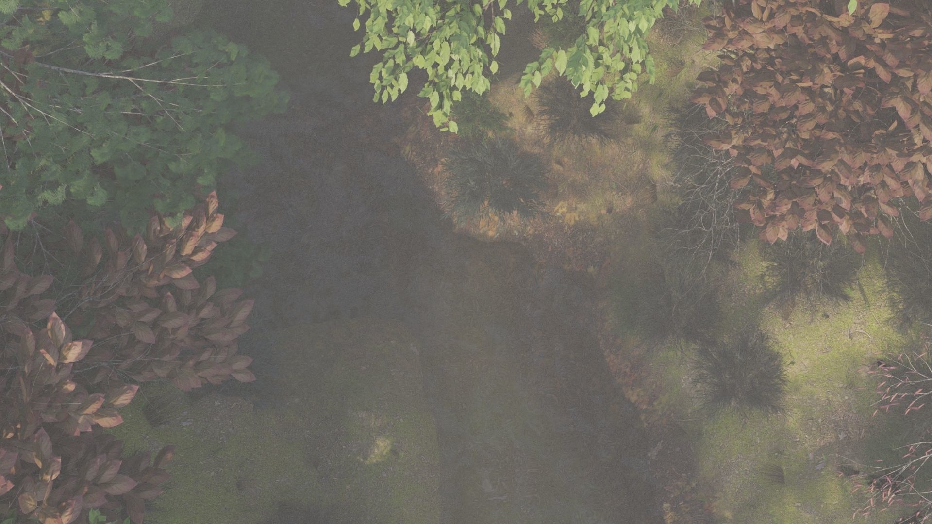 swamp 3D model animated | CGTrader