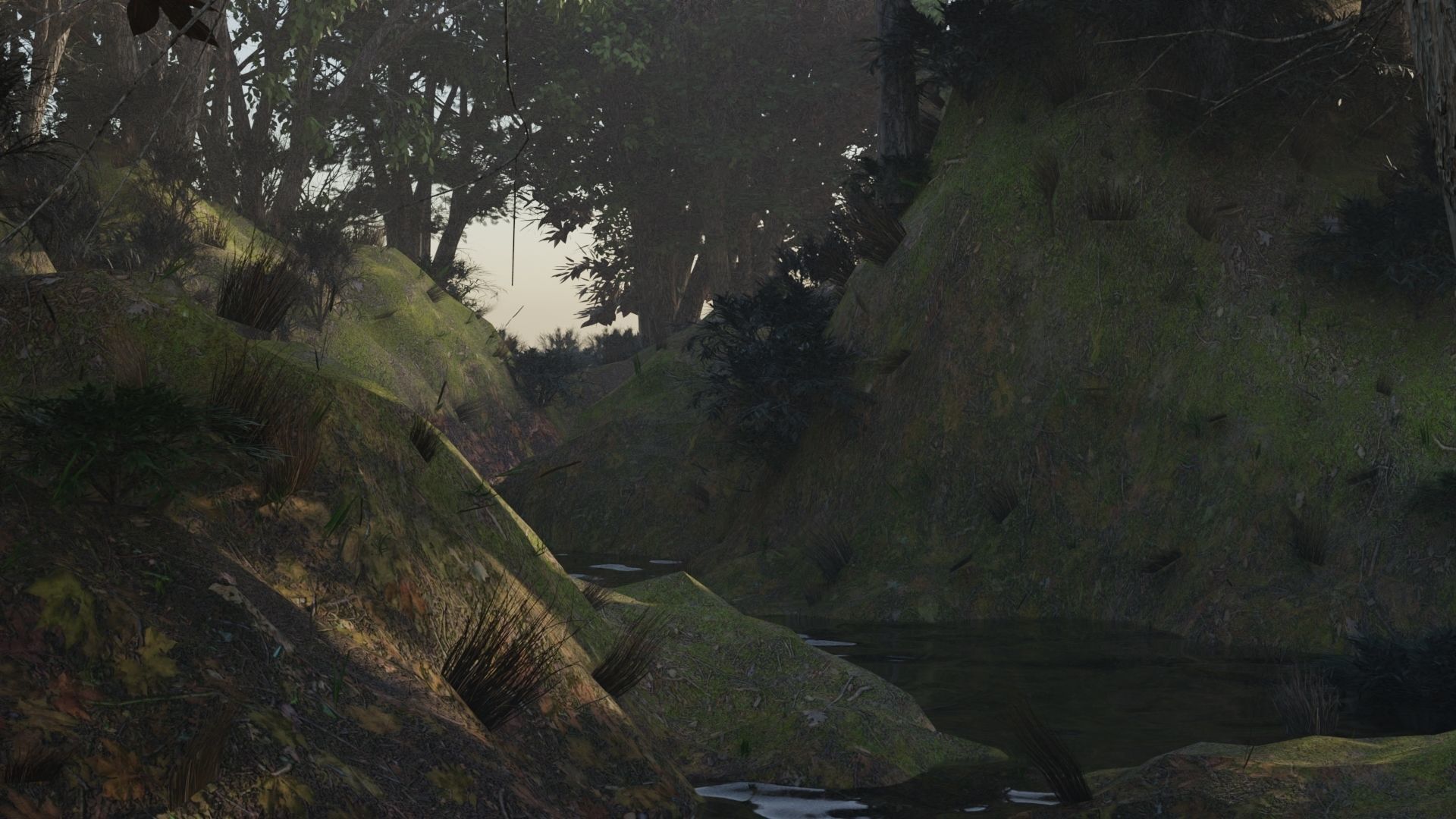 swamp 3D model animated | CGTrader