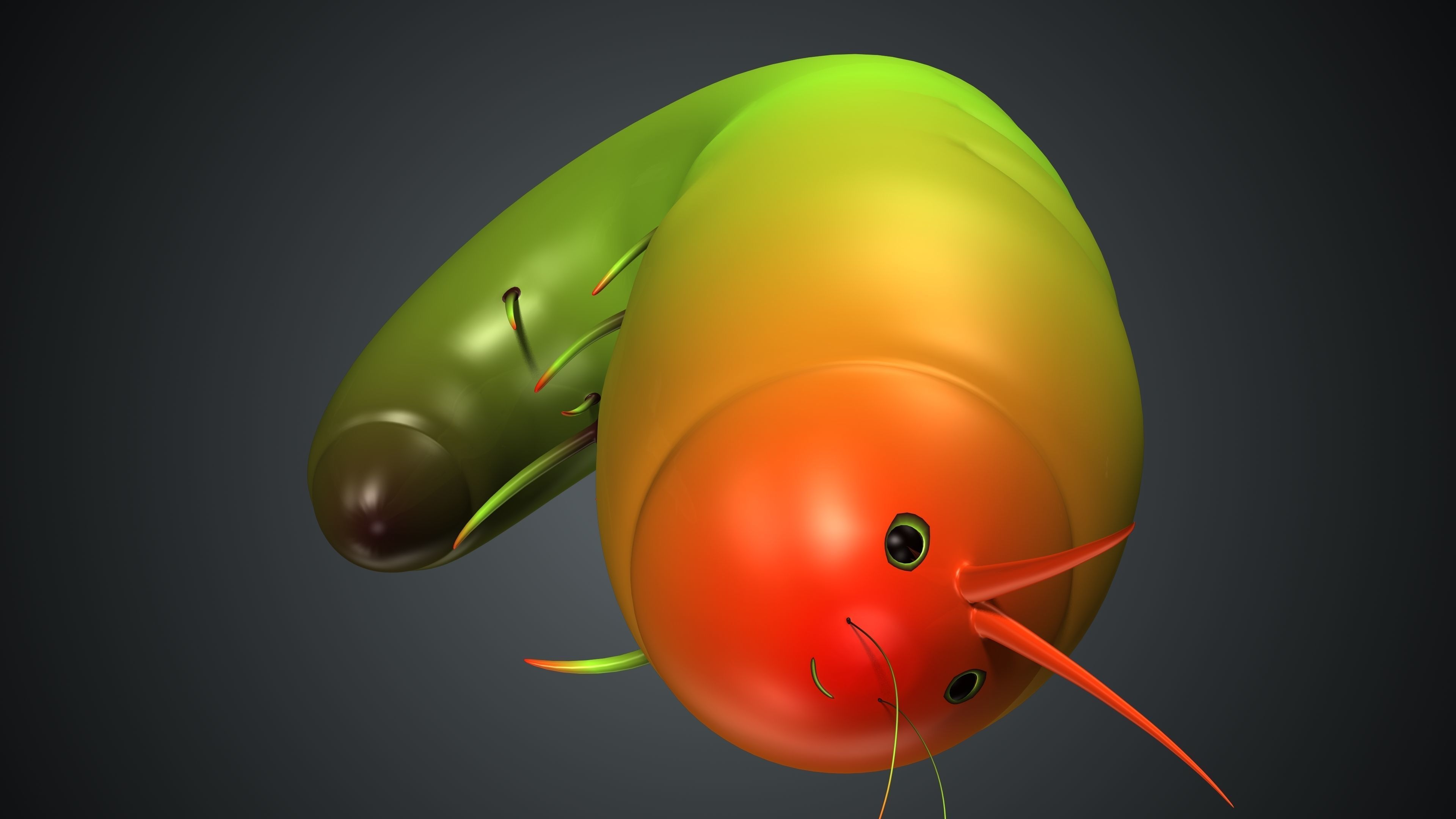 butterfly life cycle anatomy 3D model | CGTrader