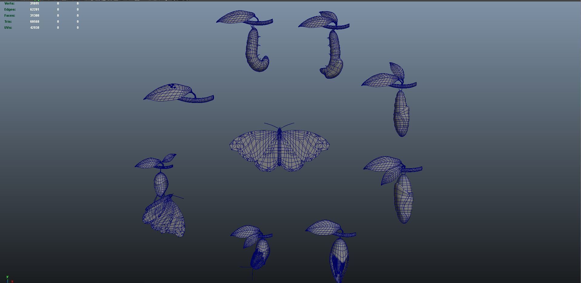 butterfly life cycle anatomy 3D model | CGTrader