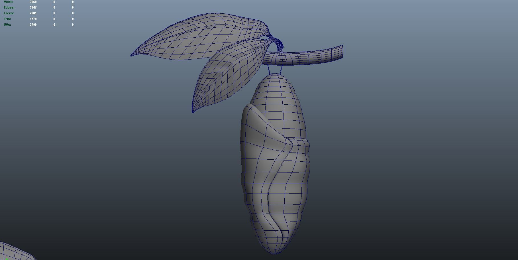 butterfly life cycle anatomy 3D model | CGTrader