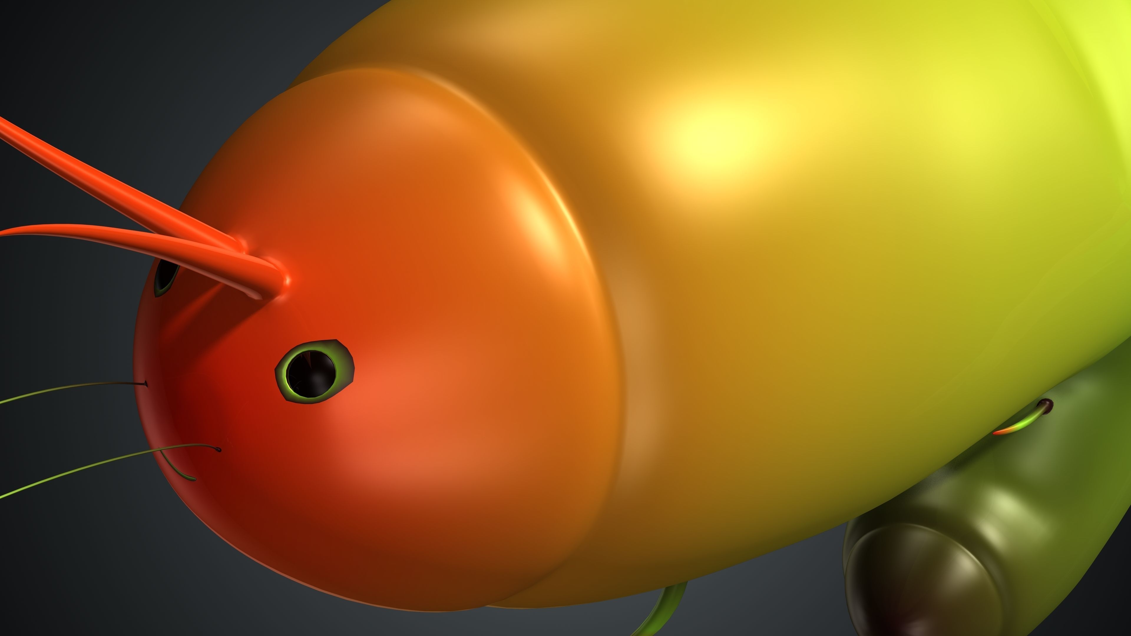 butterfly life cycle anatomy 3D model | CGTrader