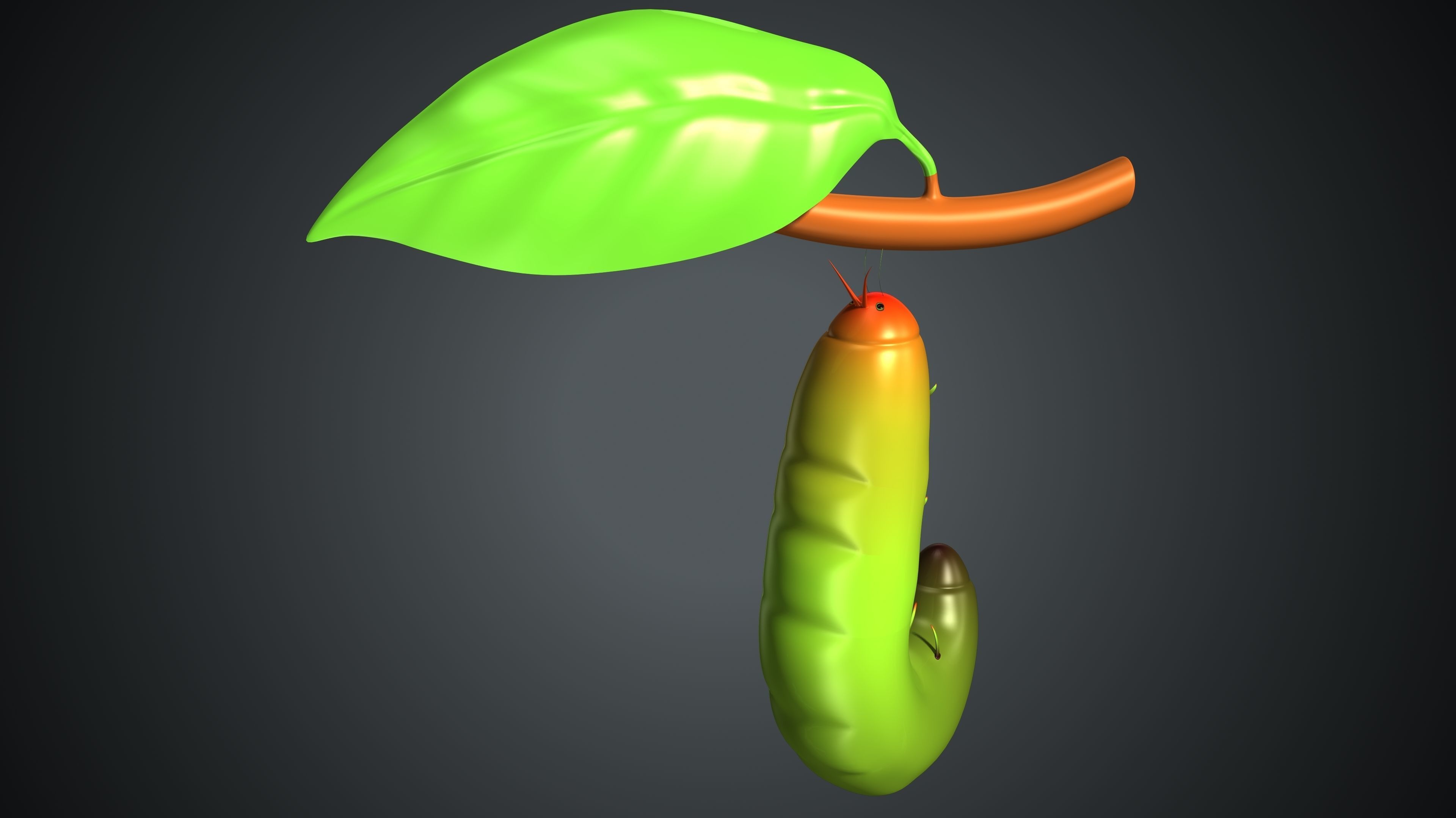 butterfly life cycle anatomy 3D model | CGTrader