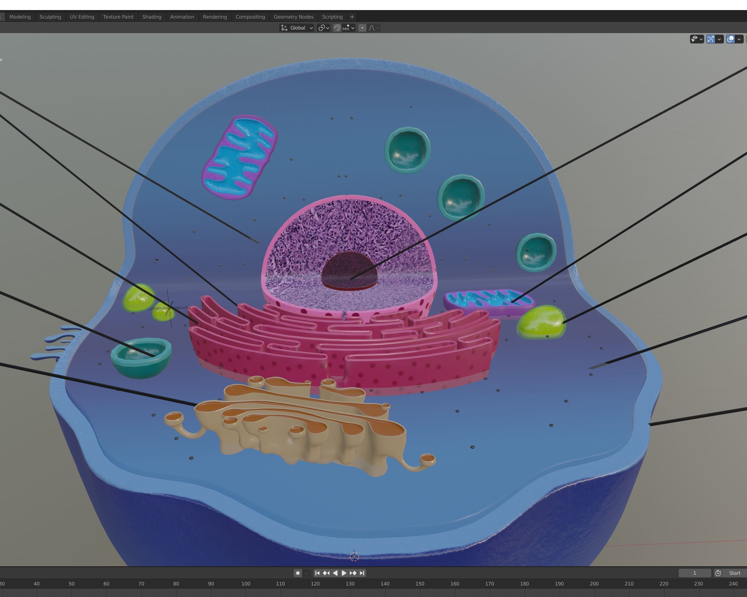 Eukaryotic cell 3D model | CGTrader