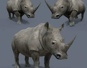 Rhino 3D Models | CGTrader