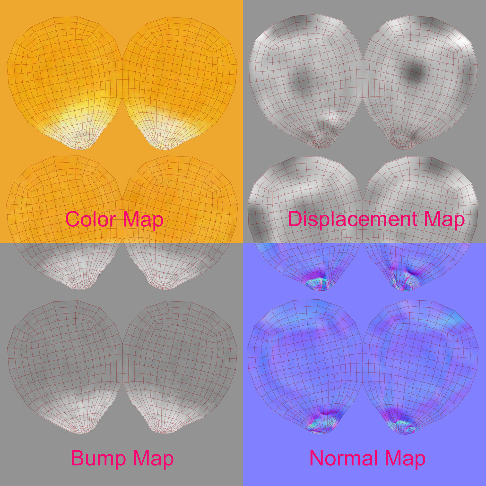 Corn kernel 3D model | CGTrader