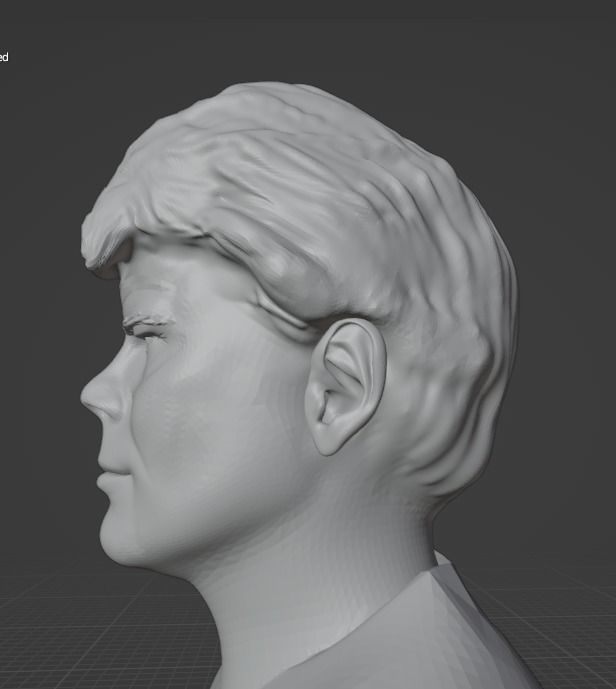 Stephen King 3D model 3D printable | CGTrader