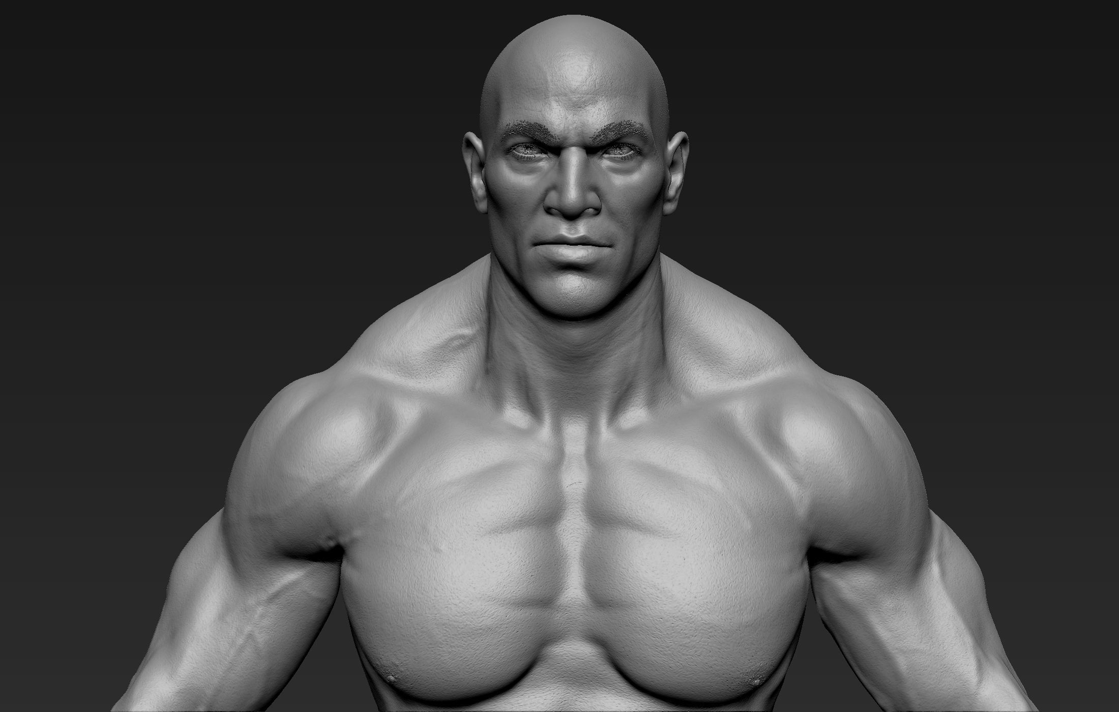 Alpha Male 3D model | CGTrader