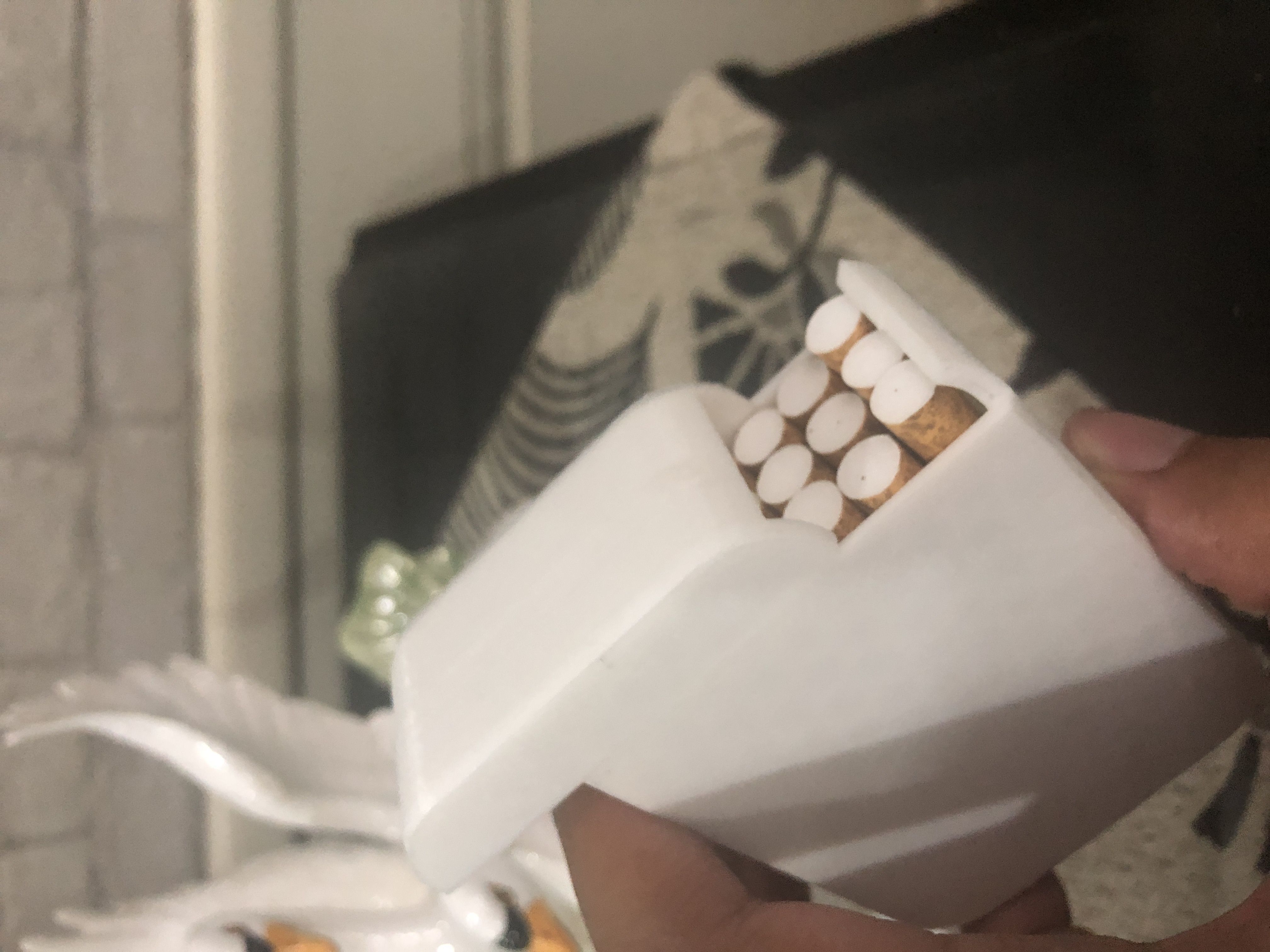 Cigar Case 3D model 3D printable | CGTrader