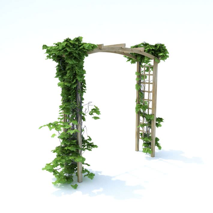 Pergola With All The Greenery 3D model | CGTrader