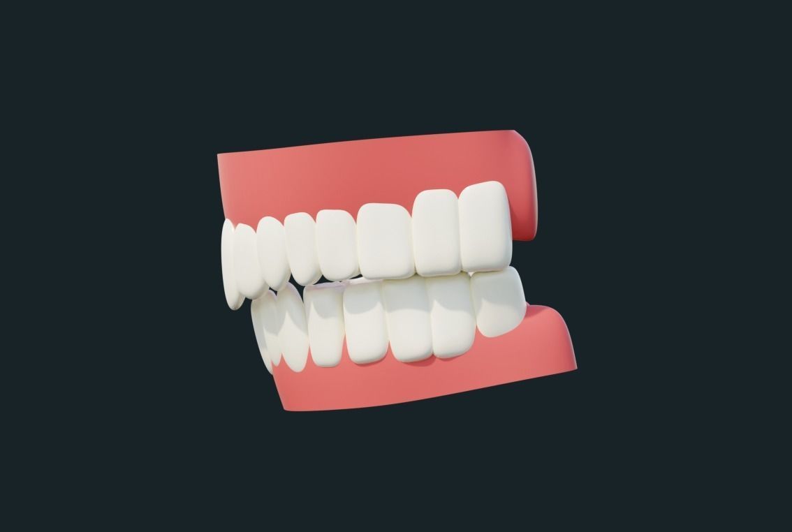 Cartoon teeth 3D model | CGTrader
