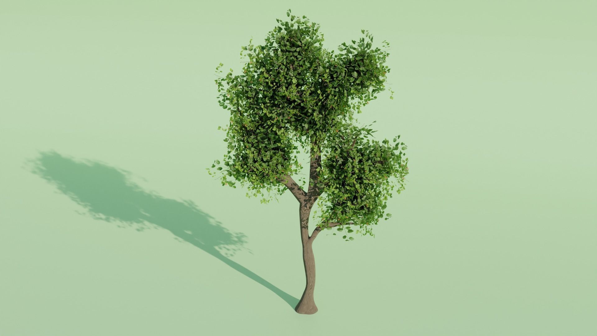 Tree Model free VR / AR / low-poly 3D model | CGTrader