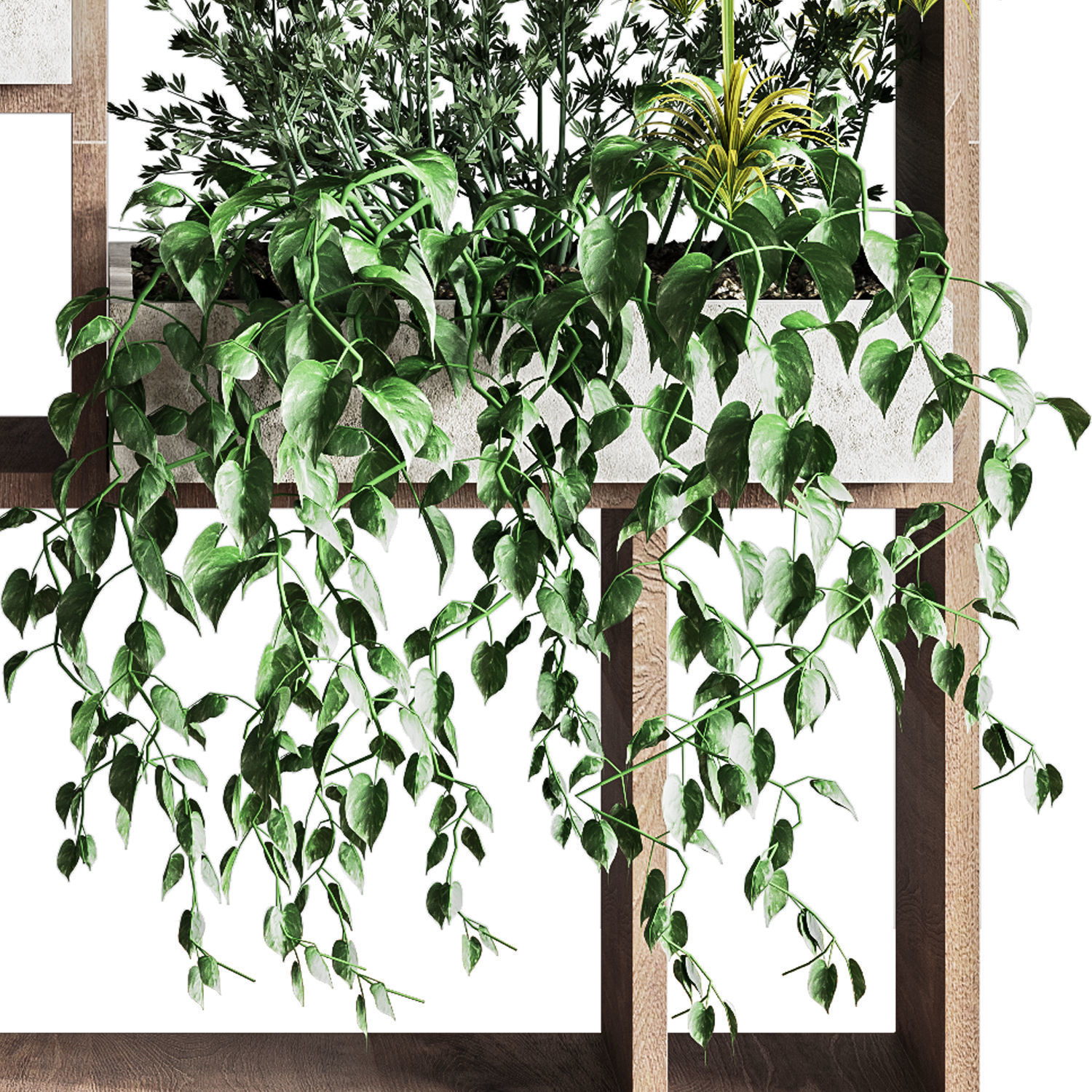 FitpWall03 wooden plant shelf with plants 3D model | CGTrader
