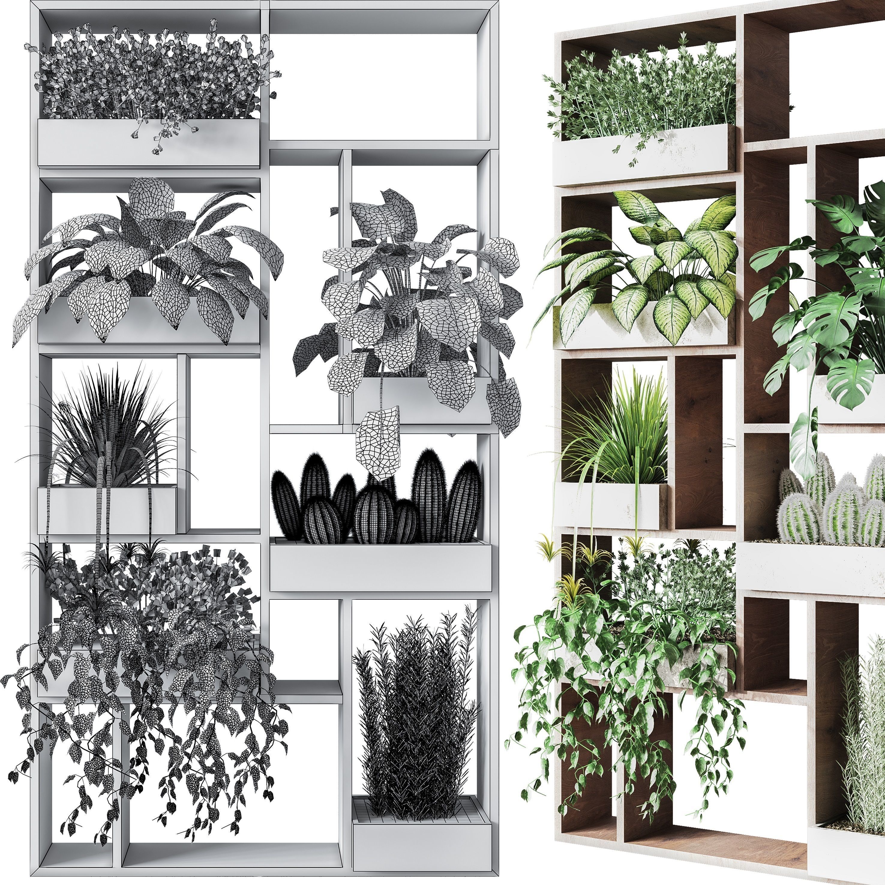 FitpWall03 wooden plant shelf with plants 3D model | CGTrader