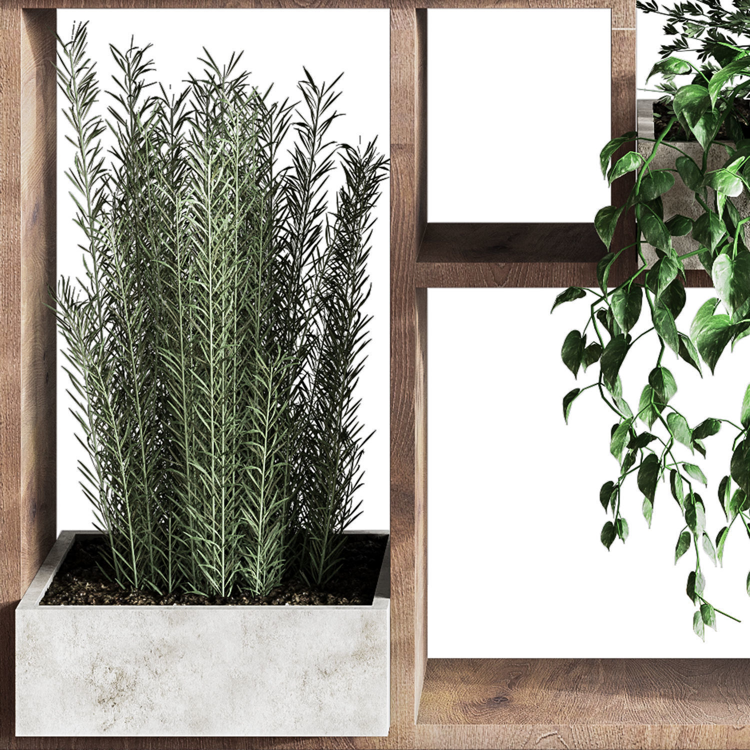 FitpWall03 wooden plant shelf with plants 3D model | CGTrader