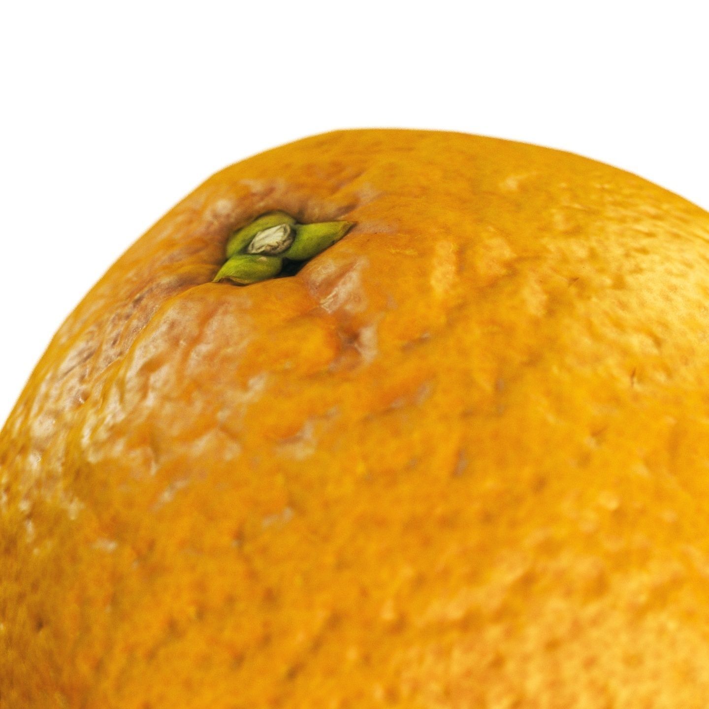 4k orange 3D model | CGTrader