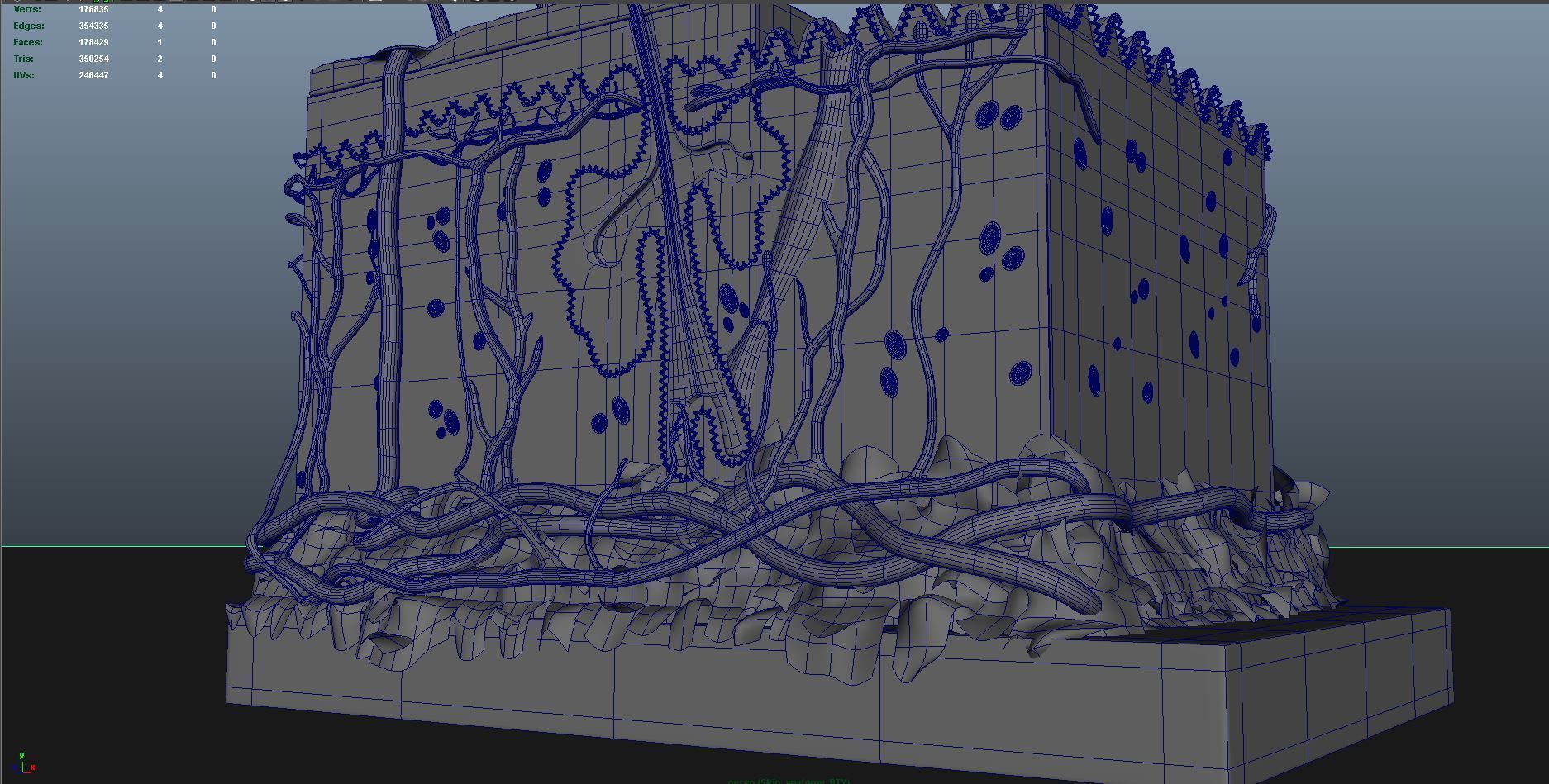 human skin cell anatomy 3D model | CGTrader