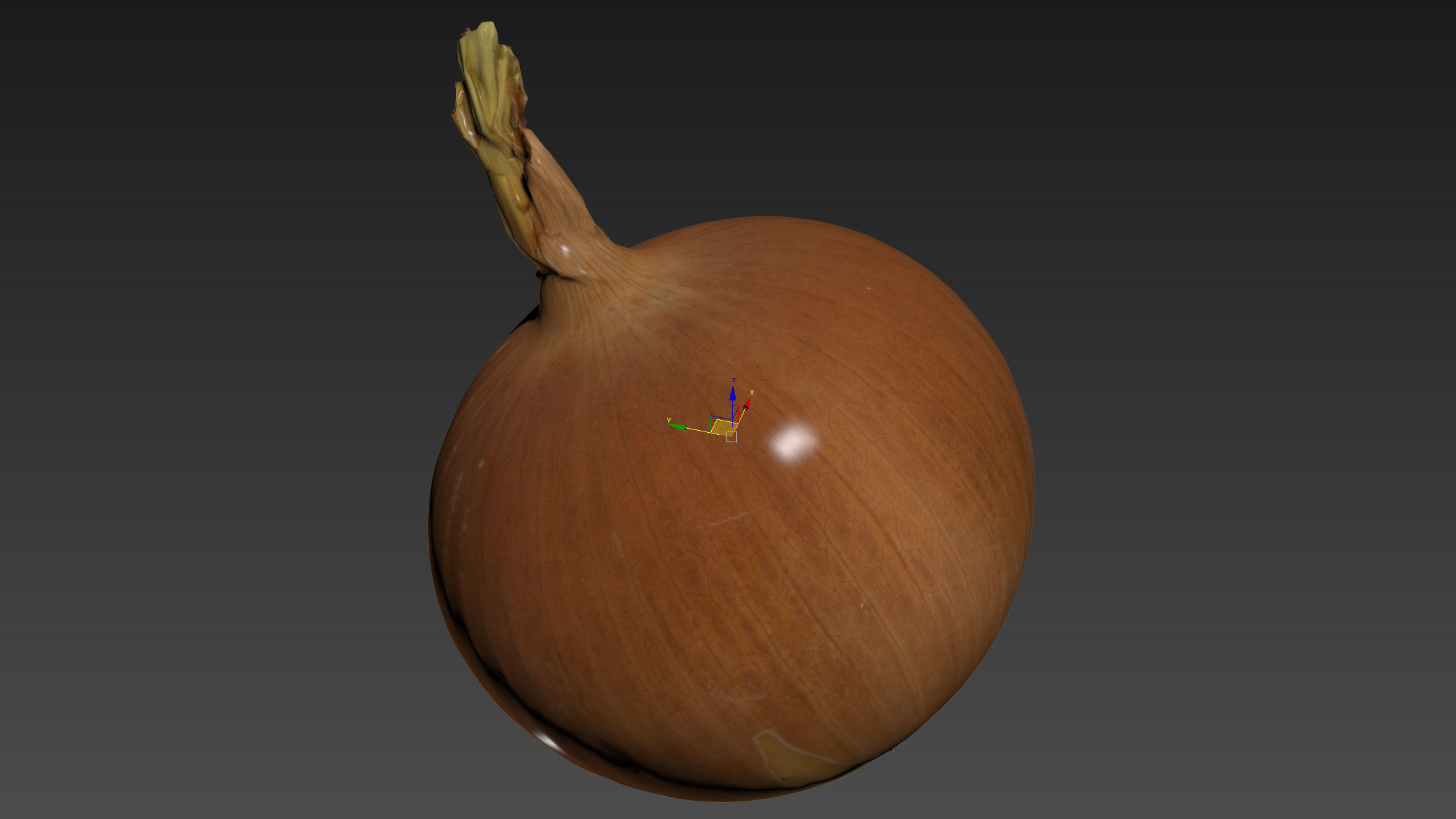 4k onion 2 3D model | CGTrader