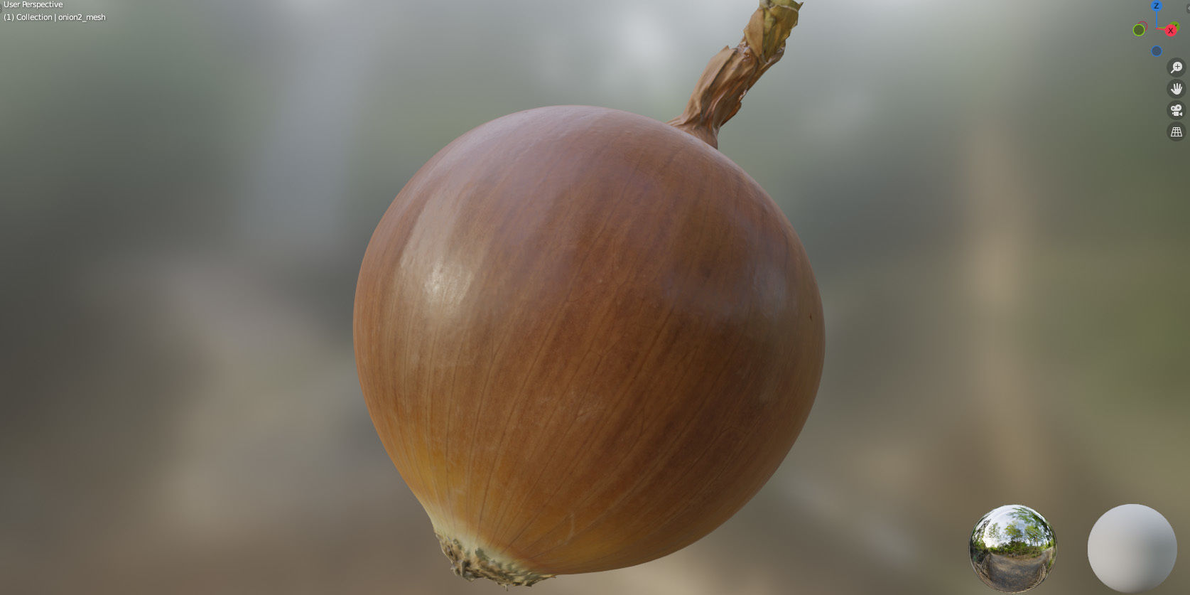 4k onion 2 3D model | CGTrader