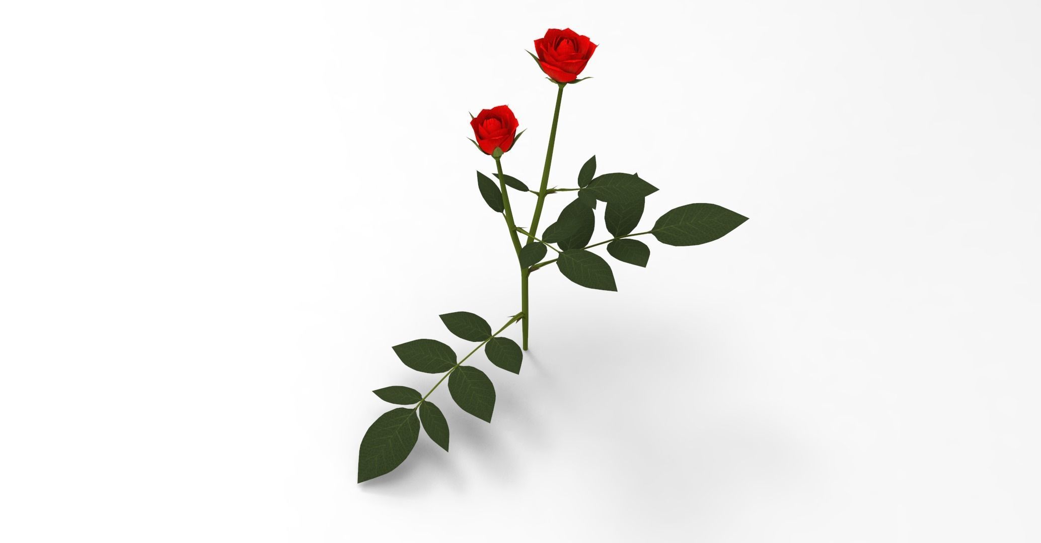 Rose Red free VR / AR / low-poly 3D model | CGTrader