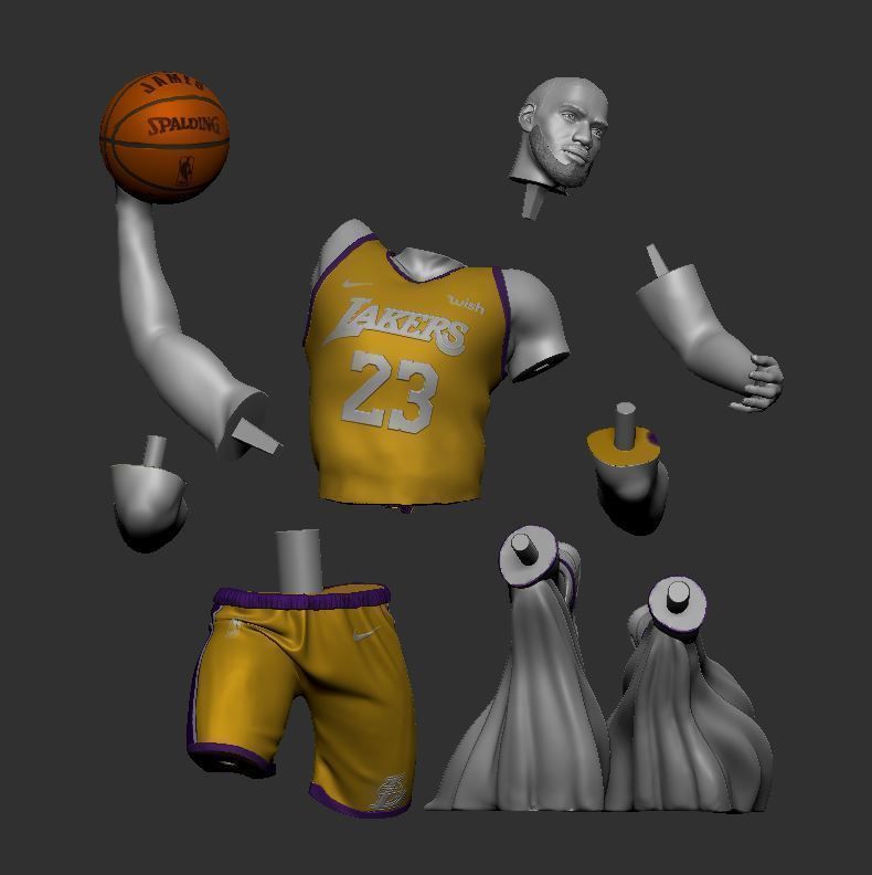 LeBron James 3D Printable 2 3D model 3D printable | CGTrader