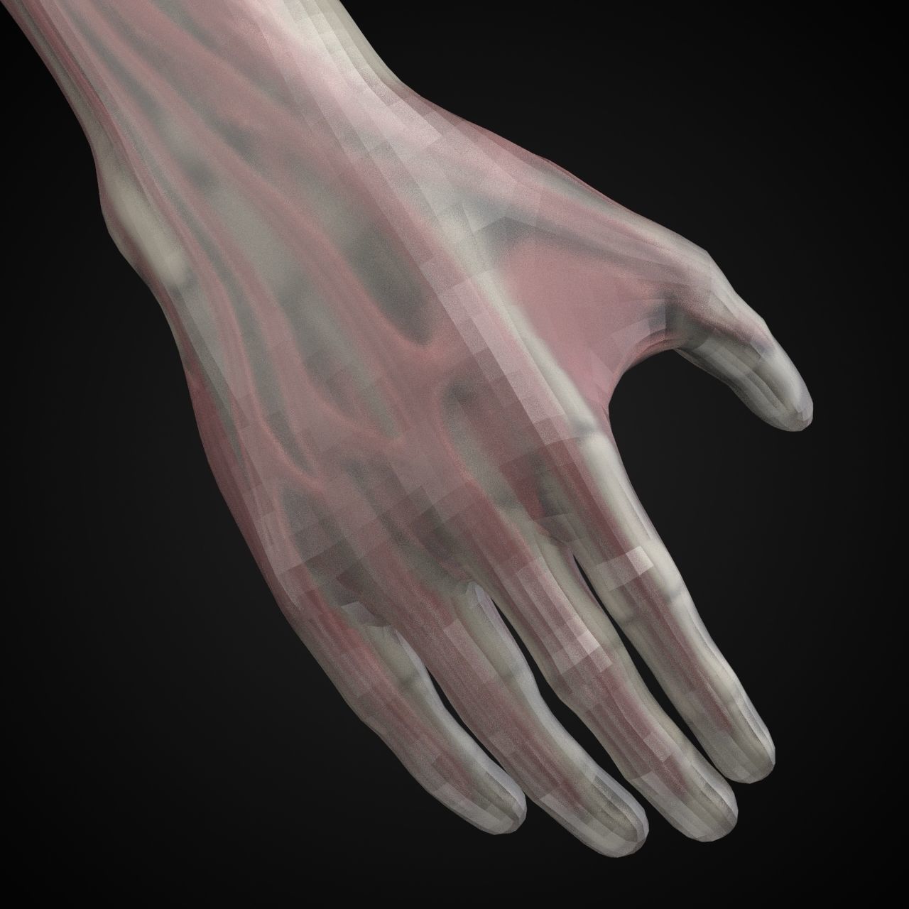 Human Anatomy 3D Atlas Bones Muscles skin 3D model | CGTrader