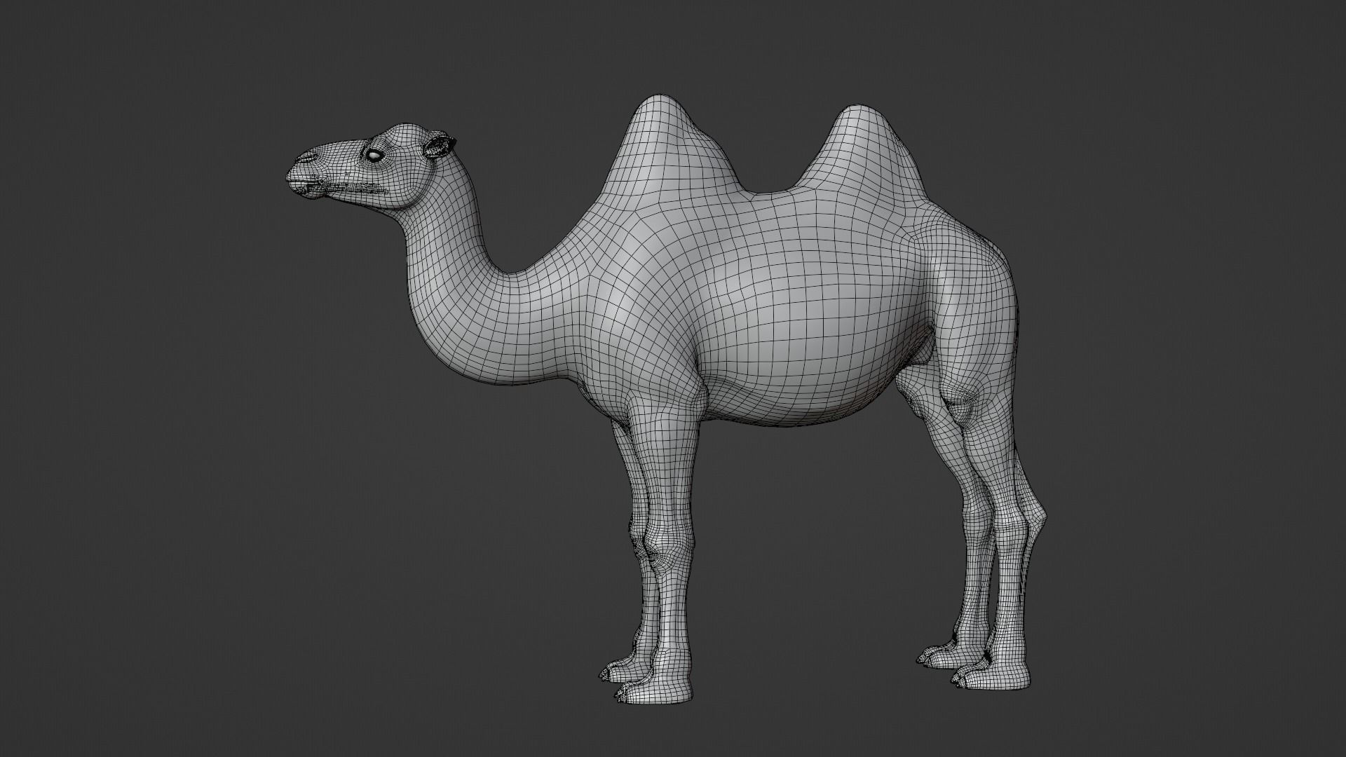 Bactrian Camel Rigged VFX Grace 3D model rigged | CGTrader