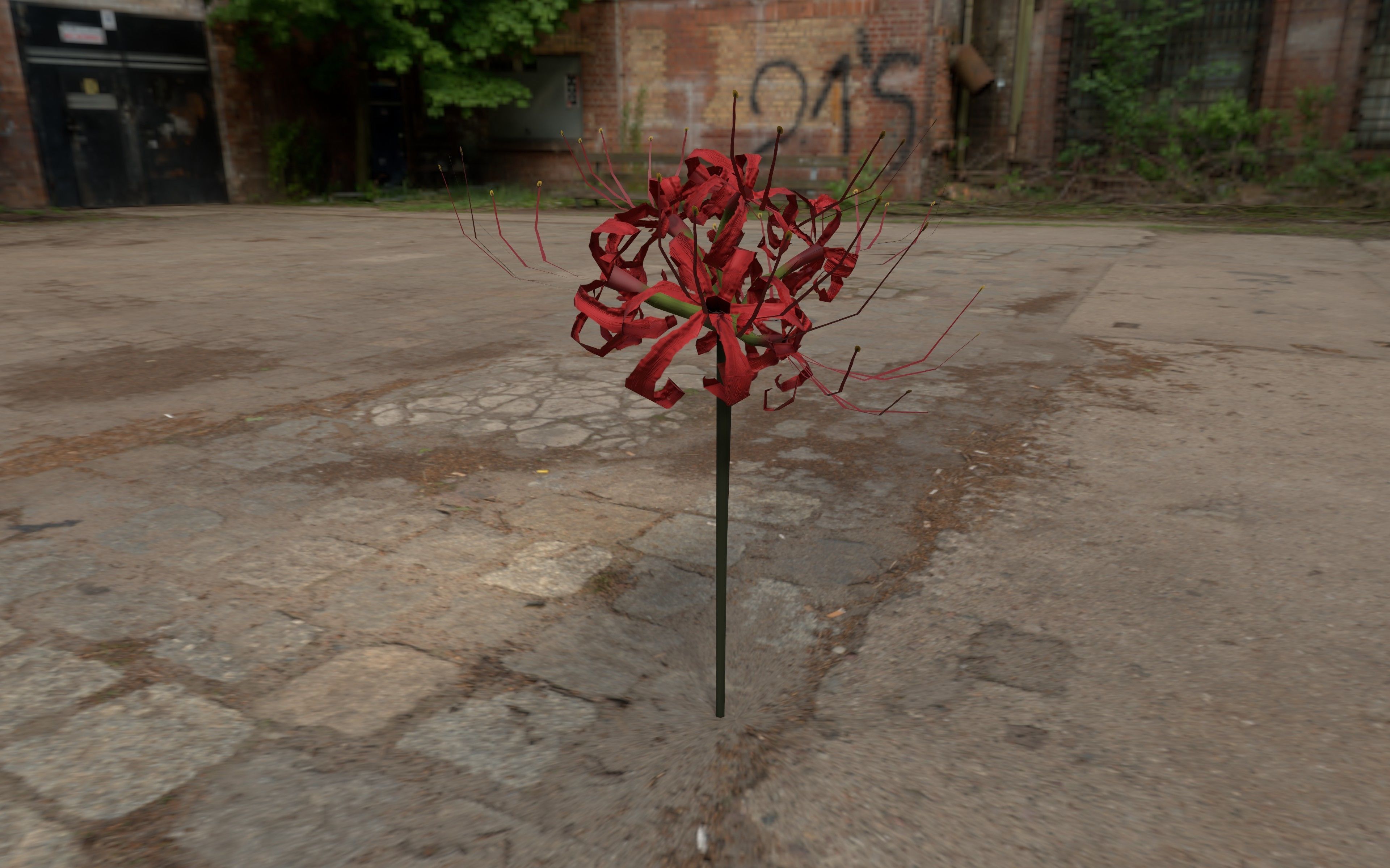 3D model Low Poly Spider Lily VR / AR / low-poly | CGTrader