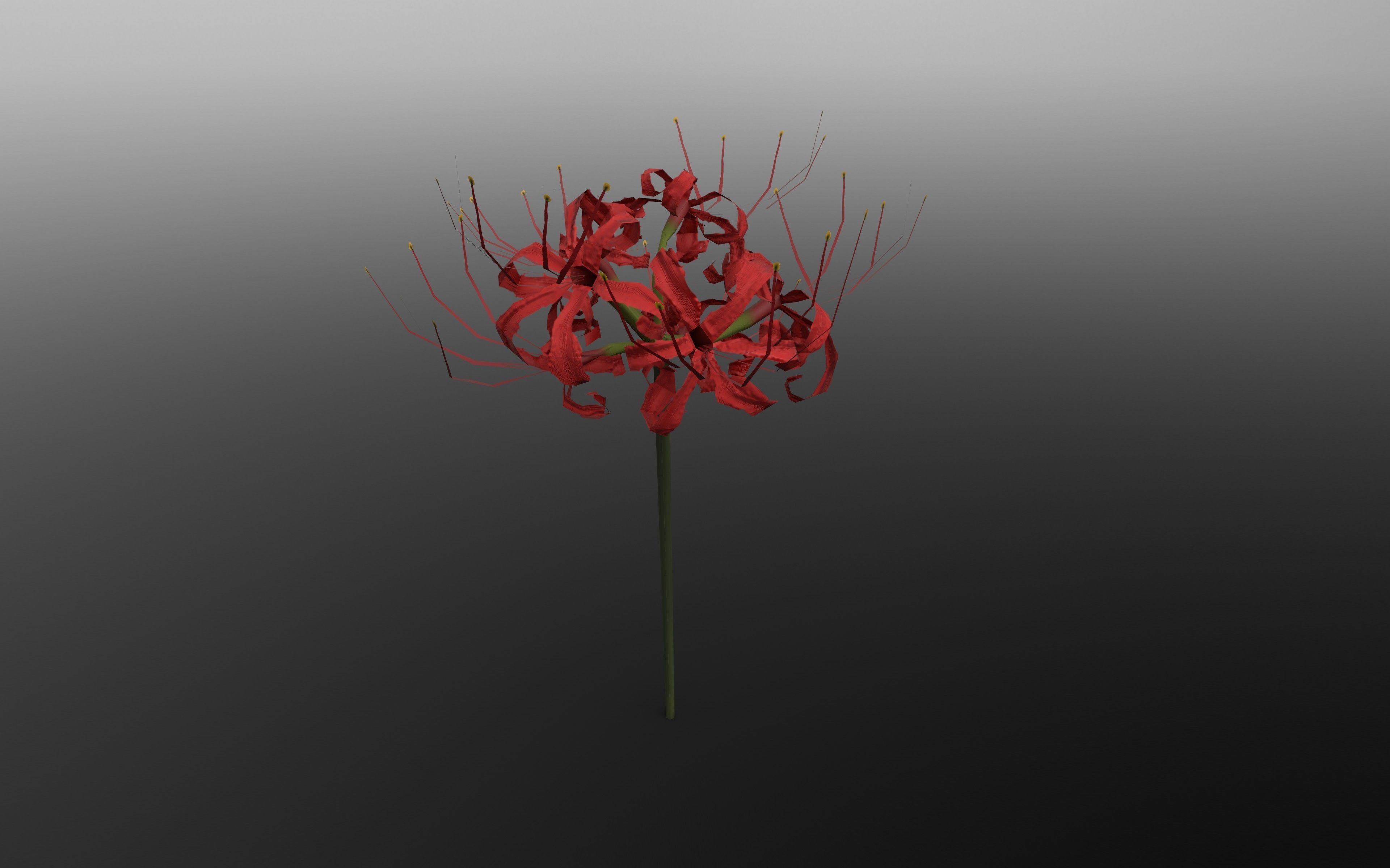 3D model Low Poly Spider Lily VR / AR / low-poly | CGTrader