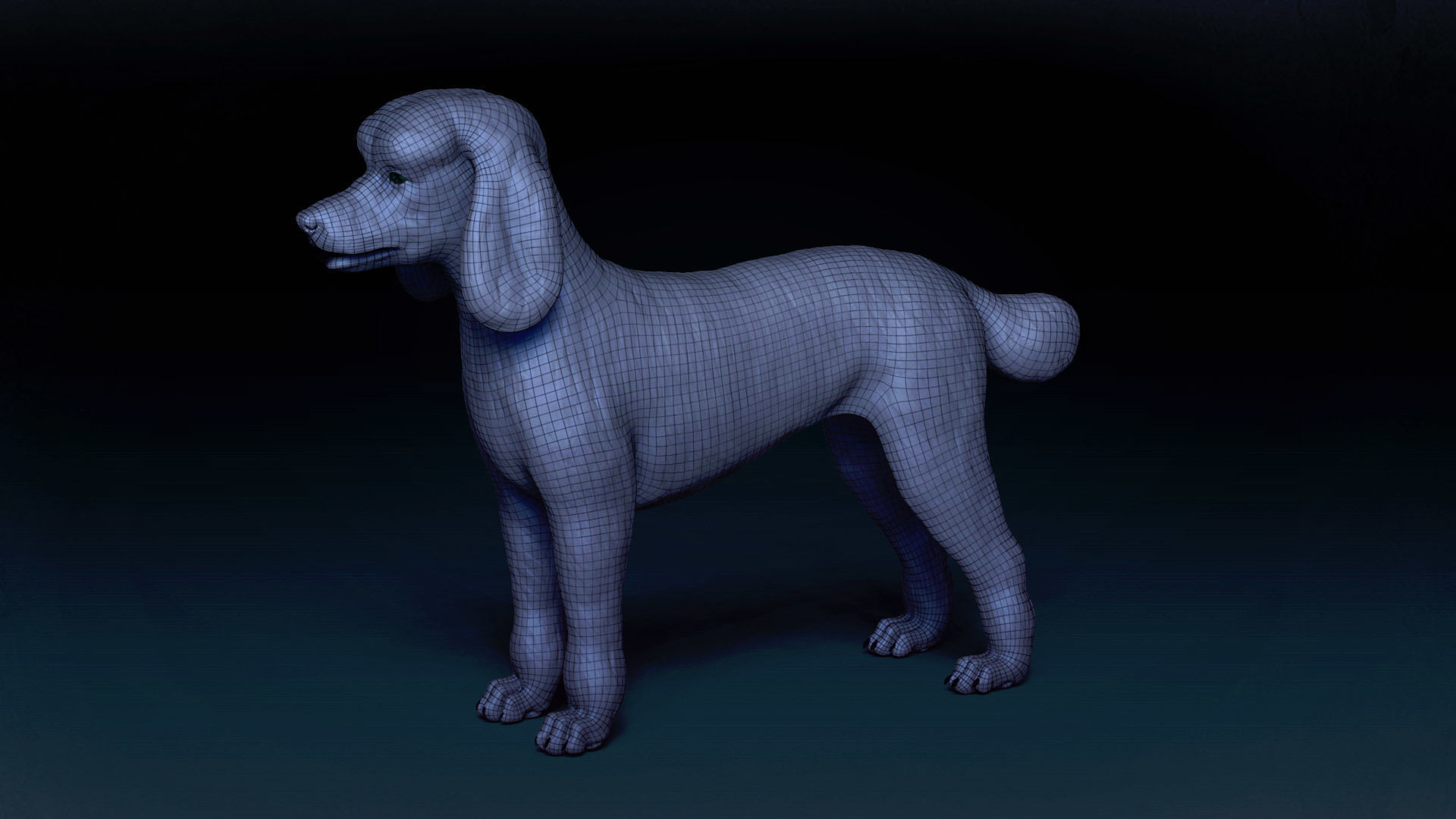 Large Poodle Base Mesh 3D model | CGTrader