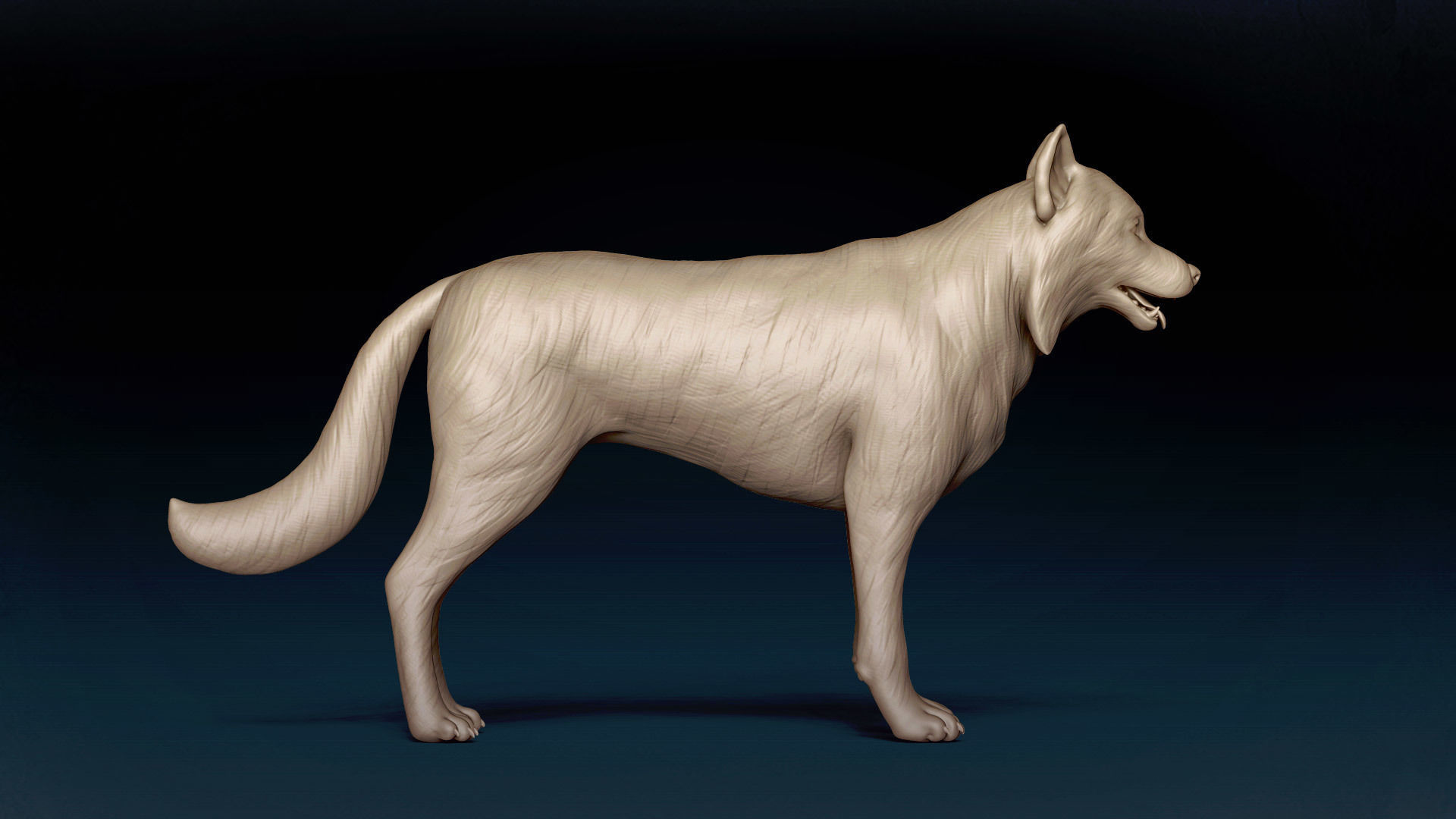 Border Collie Base Mesh 3D model | CGTrader