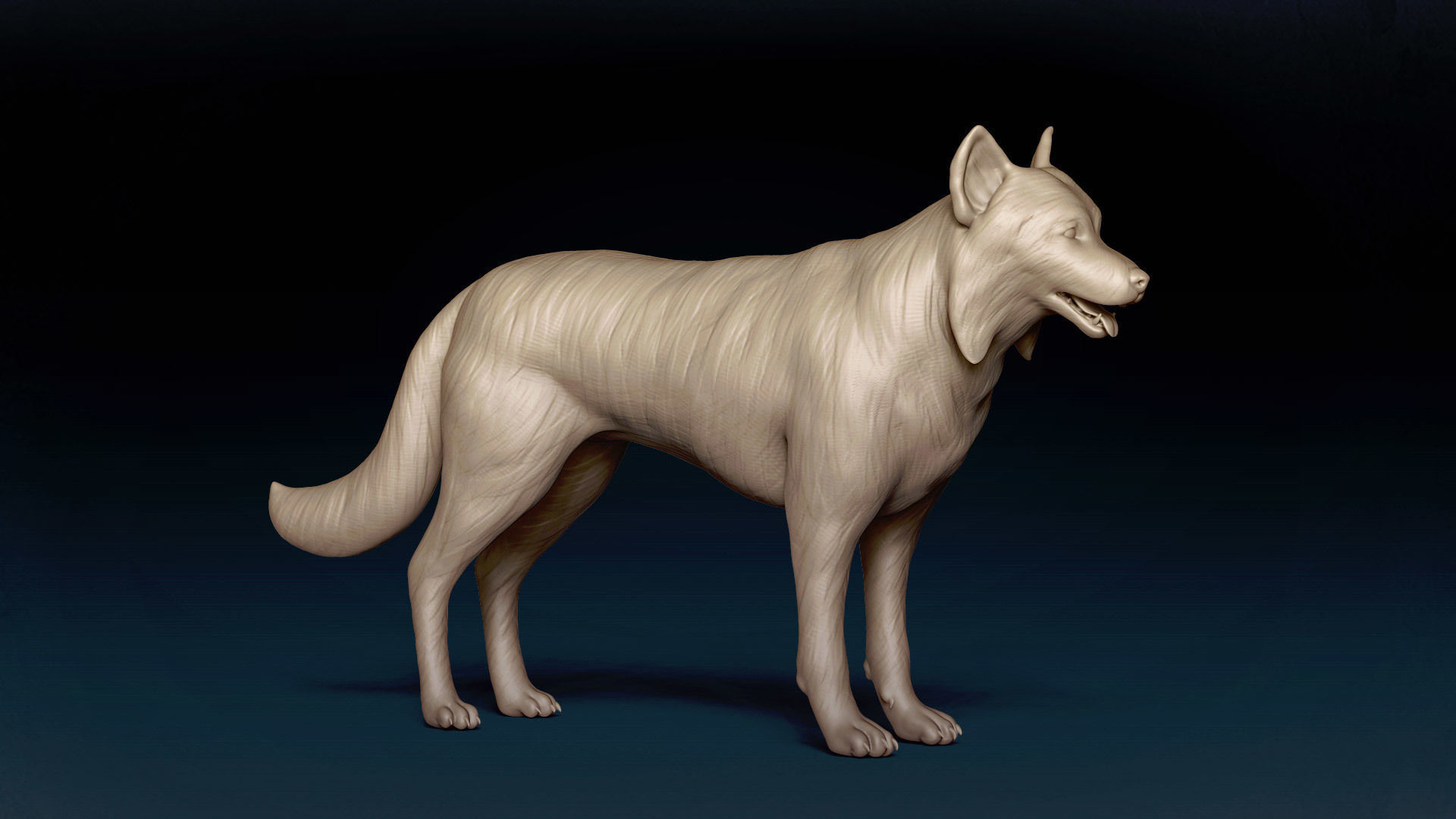 Border Collie Base Mesh 3D model | CGTrader