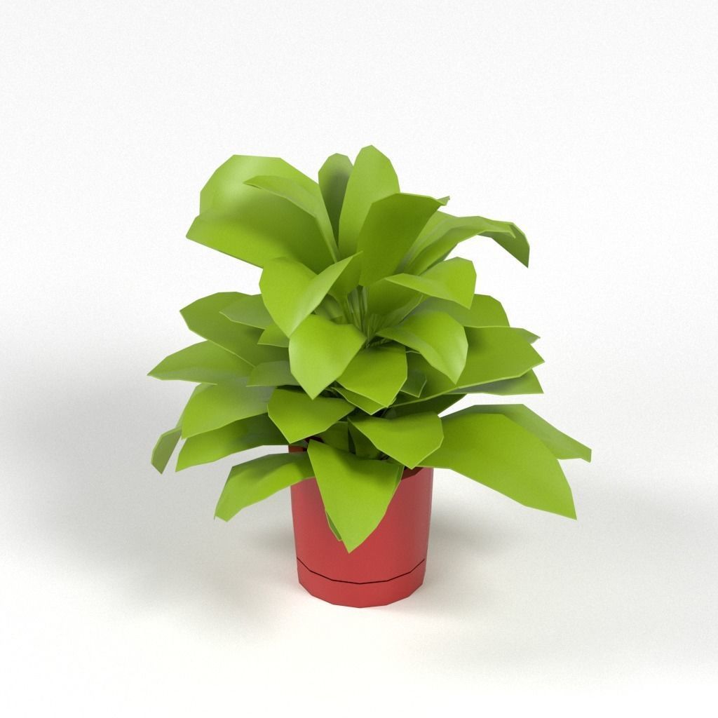 3D model INDOOR PLANT CARTOON VR / AR / low-poly | CGTrader