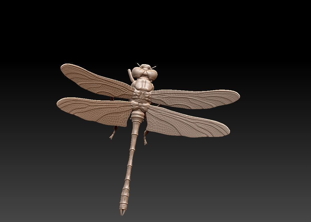 dragonfly in flight 3D model 3D printable | CGTrader