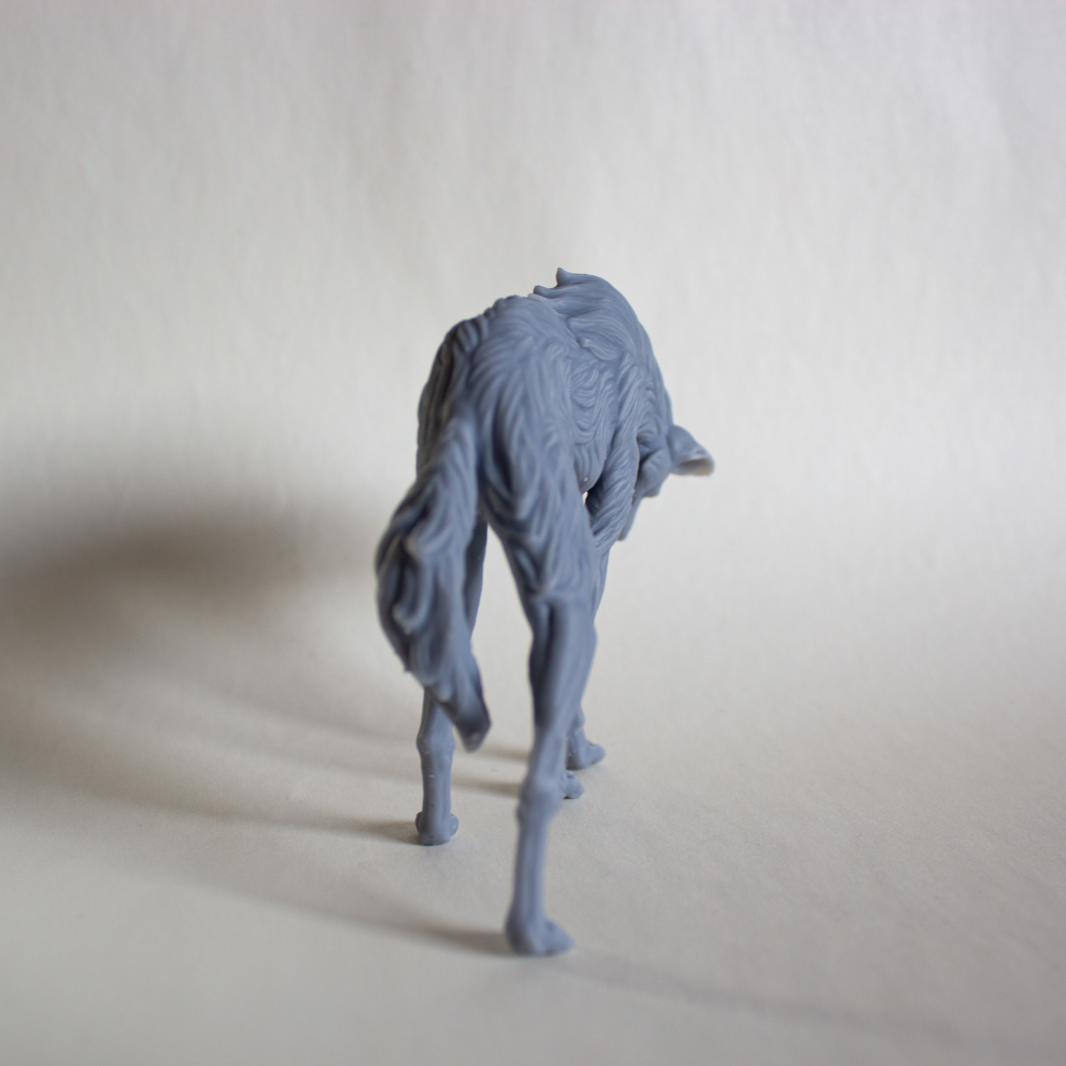 Maned Wolf for 3D printing 3D model 3D printable | CGTrader