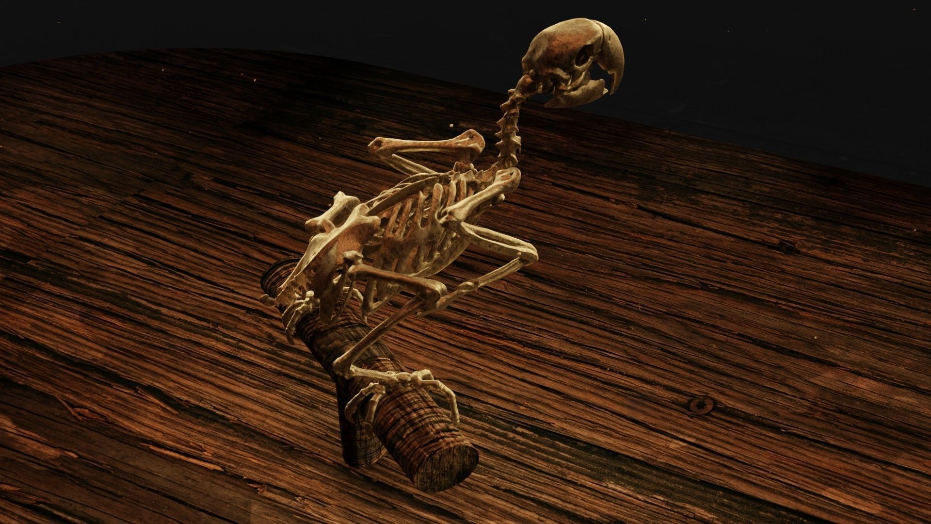 Macaw Skeleton 3D model 3D printable | CGTrader