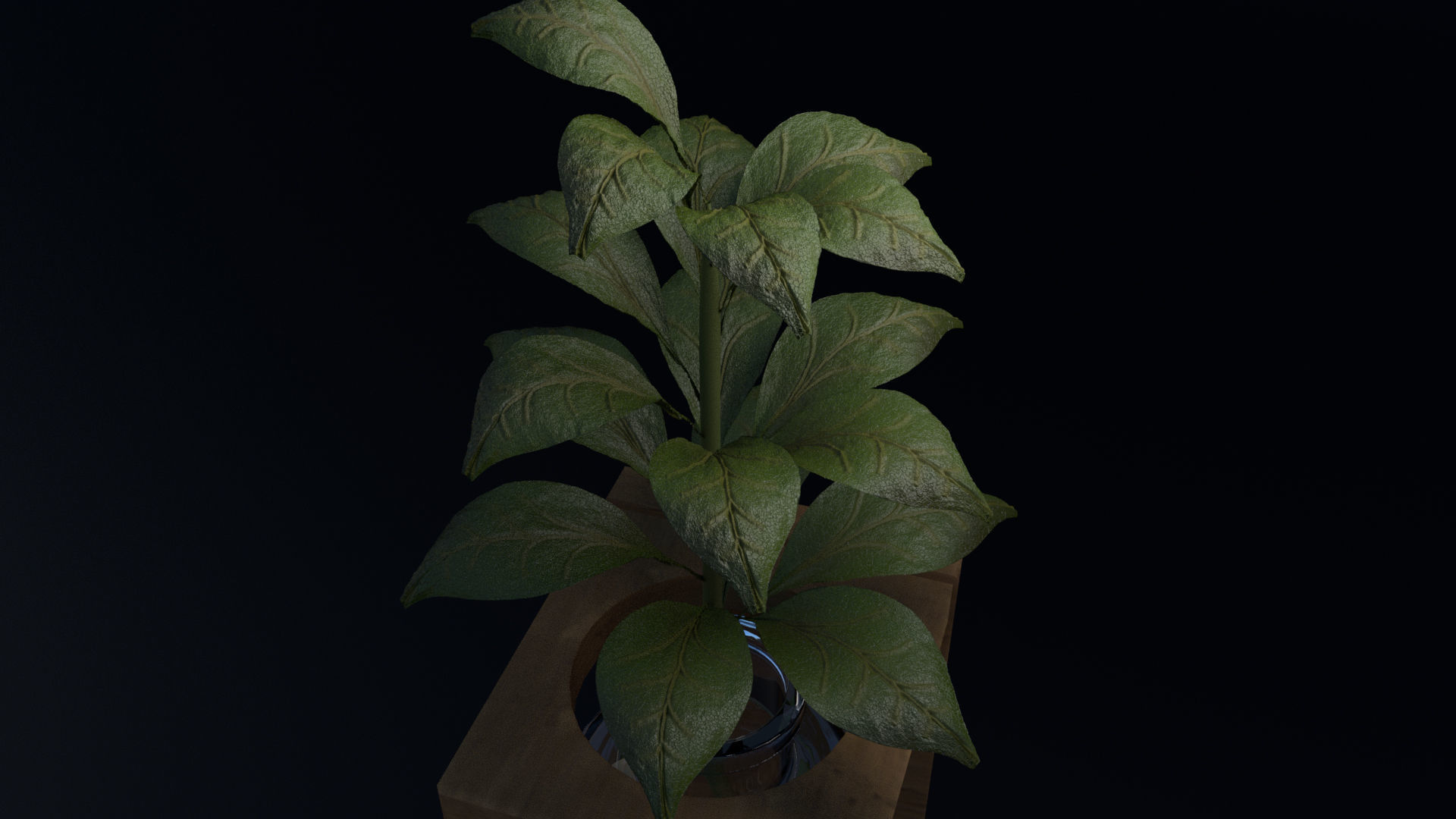 LEEF PLANT free 3D model | CGTrader