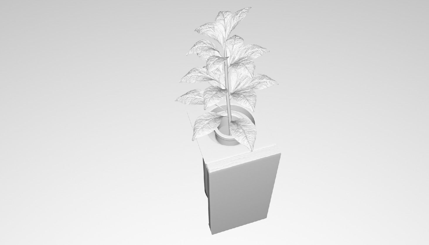 LEEF PLANT free 3D model | CGTrader