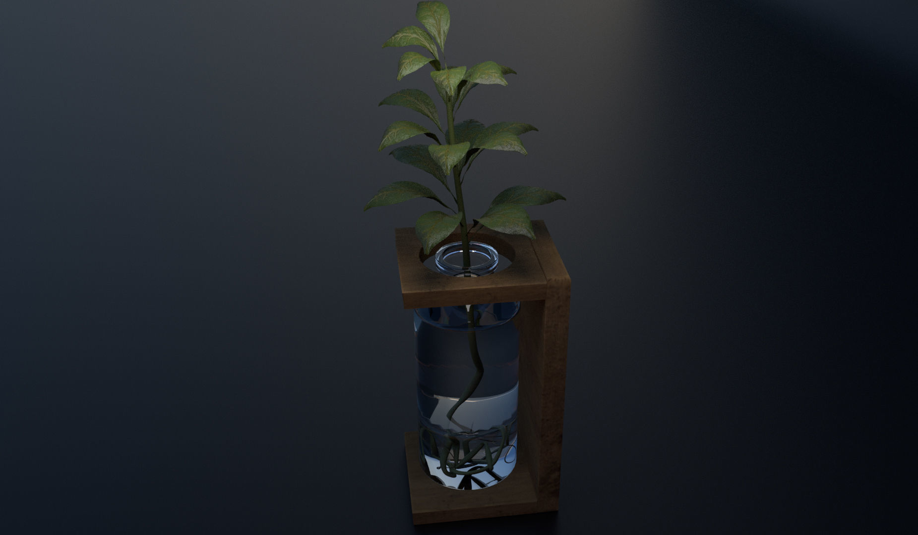 LEEF PLANT free 3D model | CGTrader